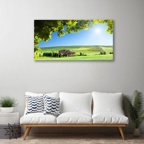 Obraz na plátně Pole Listy Krajina 120x60 cm