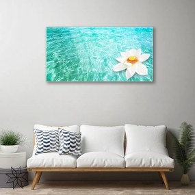 Obraz na skle Voda Květ Umění 140x70 cm