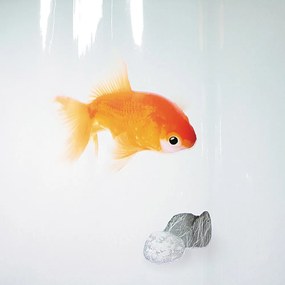 Sprchový závěs 180x200 cm Goldfish – Spirella