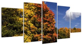 Podzimní stromy - obraz do bytu
