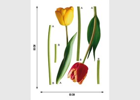 Samolepka na zeď Tulipány | 65 x 85 cm | DF0401