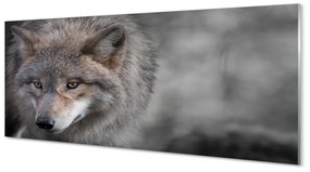 akrylový obraz Vlk 120x60 cm