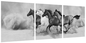 Černobílý obraz koní (90x30 cm)