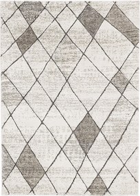 Oriental Weavers, Kusový koberec Castro Carved 4928/NQ2A, 160x235, béžová, kancelář
