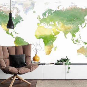 Fototapeta Mapa Světa Omyvatelný vlies 90x60