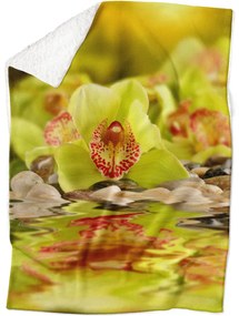 Deka Zelená orchidej (Rozměr : 150 x 120 cm, Podšití beránkem: ANO)