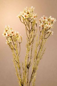 Paramit DRY WAX FLOWER Aranžovací květina bílá 78 cm