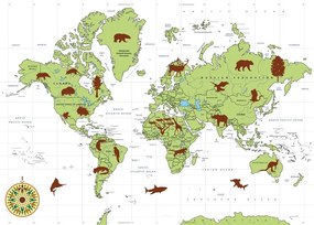 Obraz mapa se zvířaty - 60x40 cm