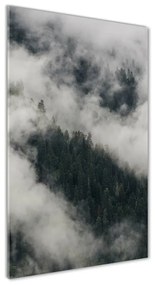 Wallmuralia Vertikální Foto obraz skleněný svislý Mrak nad lesem 50x100