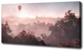 Wallmuralia Foto obraz na plátně Balon nad lesem 100x50