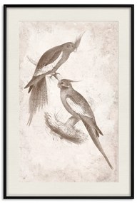 Plakát Papoušci v boho stylu - dva ptáci na větvích a světlém pozadí