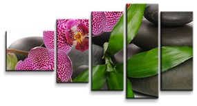 Sablio Obraz - 5-dílný Orchideje a kameny - 100x60 cm
