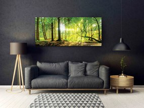 Obraz lesní úsvit II Velikost (šířka x výška): 130x60 cm