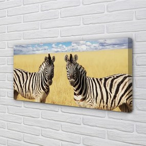 Obrazy na plátně zebra box 140x70 cm