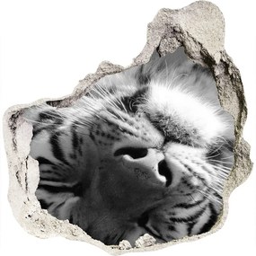 Wallmuralia Díra 3D fototapeta nálepka Spící tygr 75x75 cm
