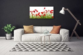 Obraz na plátně Louka Máky Květiny Příroda 125x50 cm