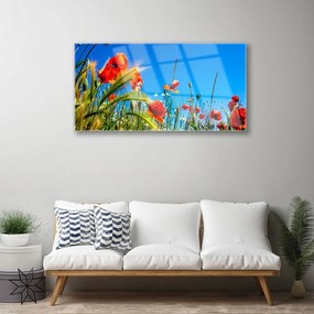 Obraz na skle Květiny Máky Pole Trávy 125x50 cm