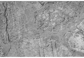 Vliesová fototapeta Betonová podlaha 375 x 250 cm + lepidlo zdarma / MS-5-0173 vliesové fototapety na zeď DIMEX