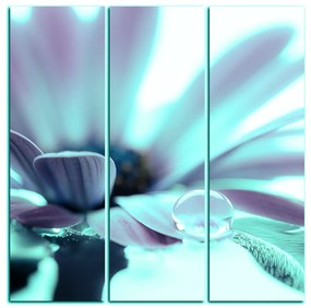 Obraz na plátně - Kapka rosy na lupenech květu - čtverec 380FB (105x105 cm)