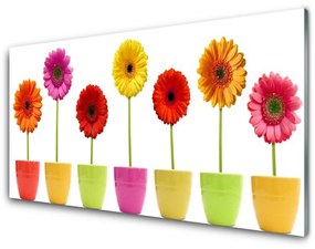 Plexisklo-obraz Květiny Rostlina Příroda 140x70 cm