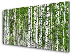 Obraz na skle Bříza Les Stromy Příroda 125x50 cm