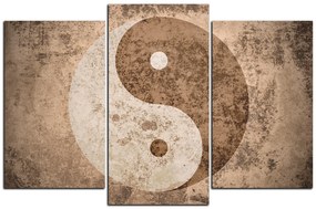 Obraz na plátně - Jin a jang symbol 1170C (120x80 cm)