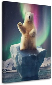 Gario Obraz na plátně Šťastný lední medvěd - Patryk Andrzejewski Rozměry: 40 x 60 cm