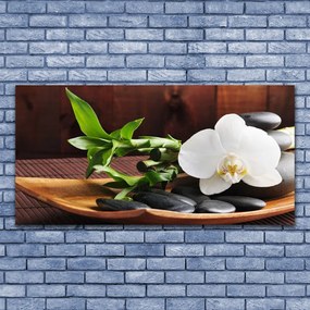 Plexisklo-obraz Kameny Zen Bílá Orchidej 120x60 cm