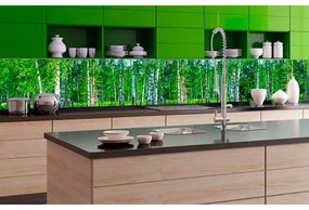 DIMEX | Fototapeta do kuchyně Březový háj KI-350-044 | 350 x 60 cm | zelená, bílá, černá