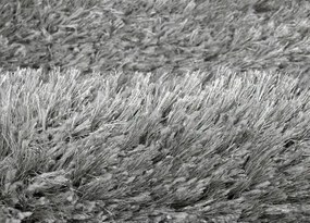 Koberce Breno Kusový koberec RHAPSODY 25-01/906, Stříbrná, 60 x 120 cm
