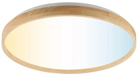 Brilliant - LED Stmívatelné stropní svítidlo ALSON LED/21W/230V béžová + DO