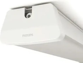 Philips Aqualine 50W bílá / LED stropní a nástěnné svítidlo / 5300lm /