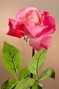 Paramit Dekorační květina Růže růžová 67 cm
