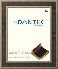 DANTIK rámeček 40x50 | TOOTH zlato černá (Plexi Čiré)