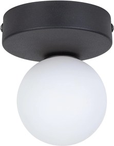 TK Lighting Bianca Black stropní světlo 1x6 W bílá 5681