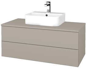 Dřevojas Koupelnová skříňka MODULE SZZ2 100 Varianta: N01 Bílá lesk / D17 Colorado