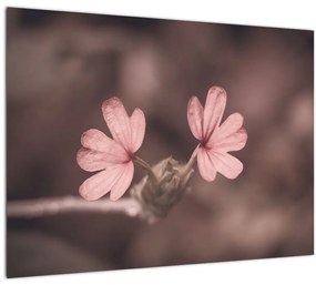 Obraz růžového květu (70x50 cm)