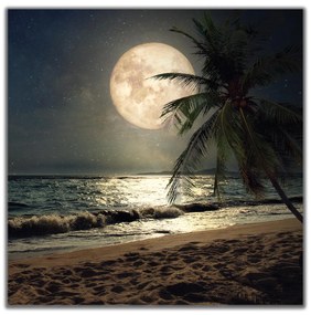 Malvis ® Obraz Pláž s palmou při měsíci Velikost: čtverec - 30x30 cm