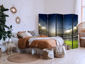 Football Stadium - Turf and Stands Before the Game II [Room Dividers].
