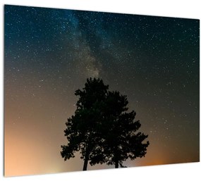 Obraz noční oblohy se stromy (70x50 cm)