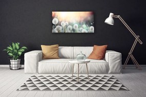 Obraz na plátně Pampelišky Květiny Příroda 120x60 cm