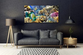 akrylový obraz Korálový Útes Příroda 120x60 cm