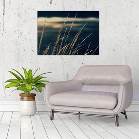 Skleněný obraz travin (70x50 cm)
