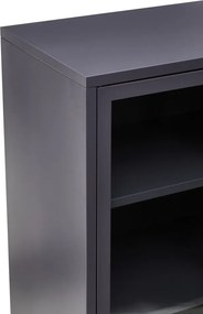 Šedá ocelová vitrína 80x102x40 cm Acier – Premier Housewares