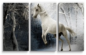 Sablio Obraz - 3-dílný Bílý kůň - 120x80 cm