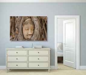 Obraz Budhů posvátný fíkovník - 90x60 cm