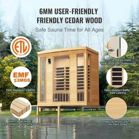 Far Infrared Wooden Sauna Room Domácnost Sauna Spa pro 3 až 4 osoby 2580 W