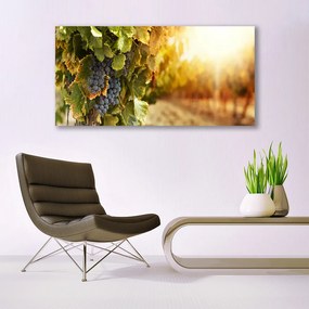 akrylový obraz Hrozny Listy Kuchyně 120x60 cm