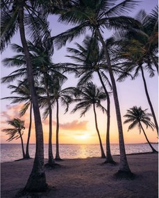 Komar Vliesová fototapeta Palmtrees on Beach 200 x 250 cm