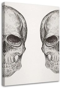Gario Obraz na plátně Náčrt dvou lebek - Jan Perit Kablan Rozměry: 40 x 60 cm